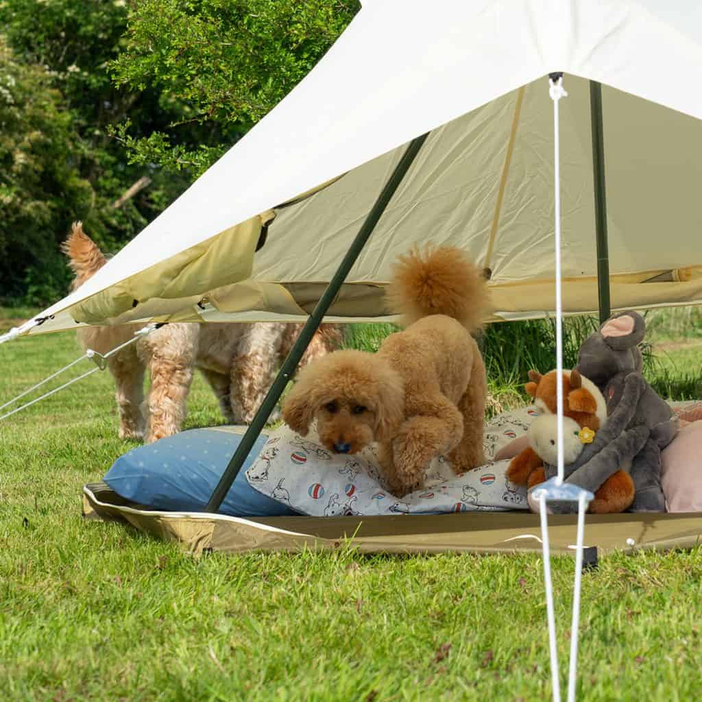 2m Mini Bell Tent Lite - Our Lightest Bell Tent!